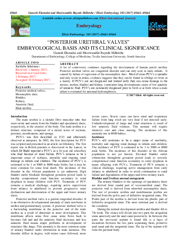 (PDF) “POSTERIOR URETHRAL VALVES” EMBRYOLOGICAL BASIS AND ITS CLINICAL ...