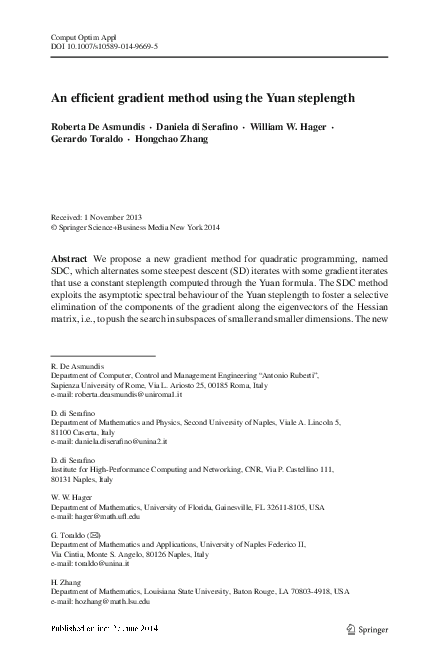 (PDF) An efficient gradient method using the Yuan steplength