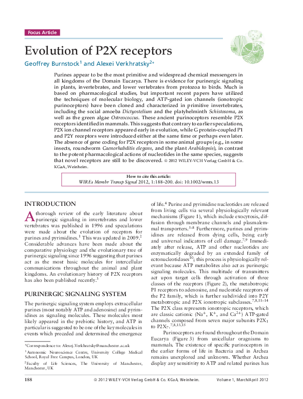 (PDF) Evolution of P2X receptors