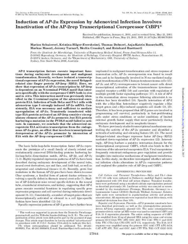 (PDF) Induction of AP-2alpha Expression by Adenoviral Infection ...