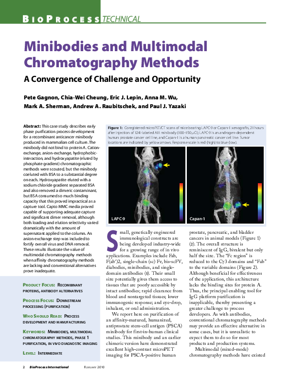 (PDF) Minibodies and Multimodal Chromatography Methods: A Convergence ...