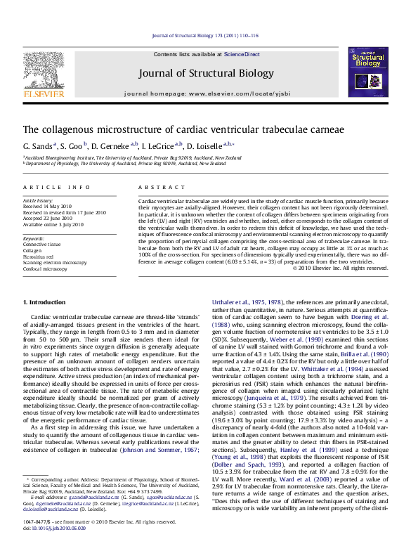 (PDF) The collagenous microstructure of cardiac ventricular trabeculae ...