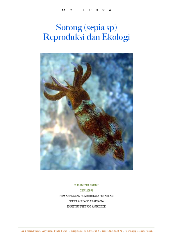 (PDF) Sotong (sepia sp) Reproduksi dan Ekologi M O L L U S K A