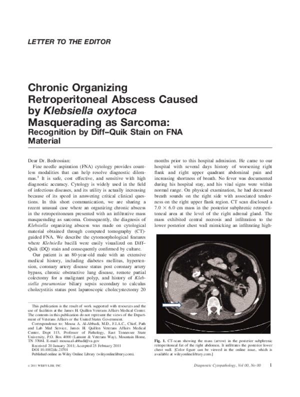 (PDF) Chronic organizing retroperitoneal abscess caused by Klebsiella ...
