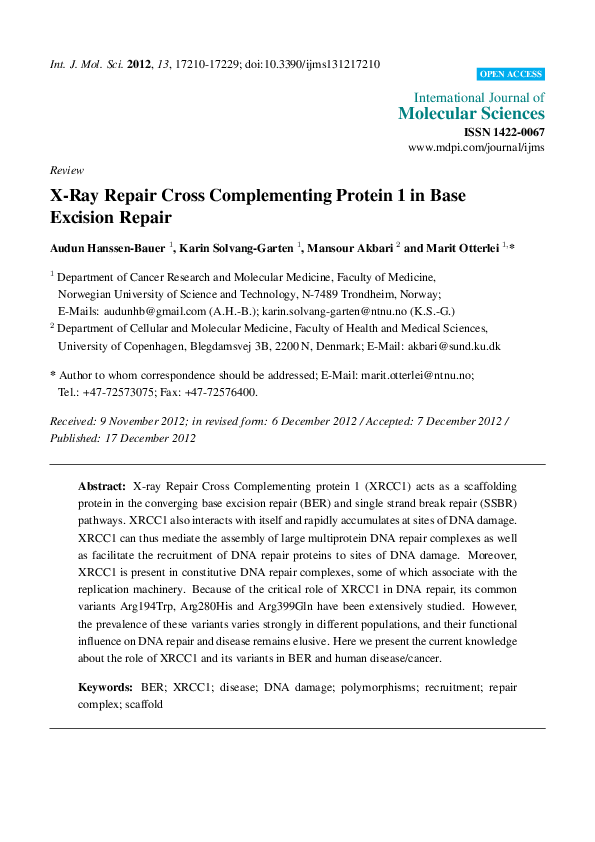 (PDF) X-ray repair cross complementing protein 1 in base excision repair