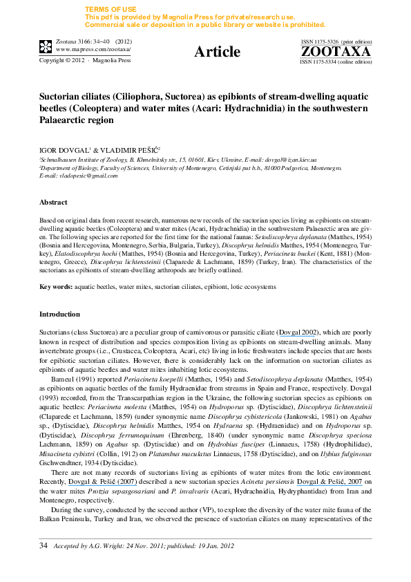 (PDF) Suctorian ciliates (Ciliophora, Suctorea) as epibionts of stream ...