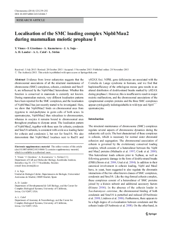 (PDF) Localisation of the SMC loading complex Nipbl/Mau2 during ... (PDF) Localisation of the SMC loading complex Nipbl/Mau2 during ...