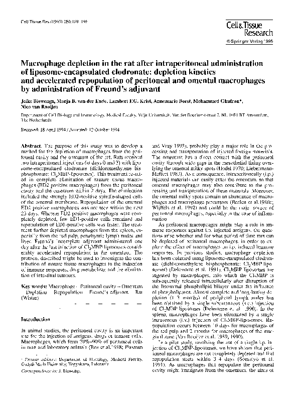 (PDF) Macrophage depletion in the rat after intraperitoneal ...