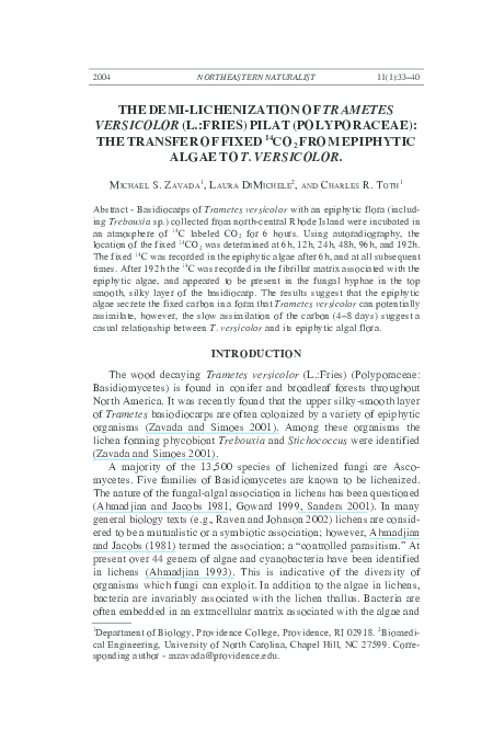 (PDF) The Demi-Lichenization of Trametes Versicolor (L.:FRIES) Pilat ...