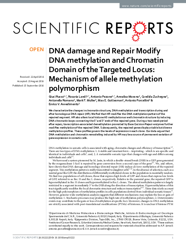 (PDF) DNA damage and Repair Modify DNA methylation and Chromatin Domain ...