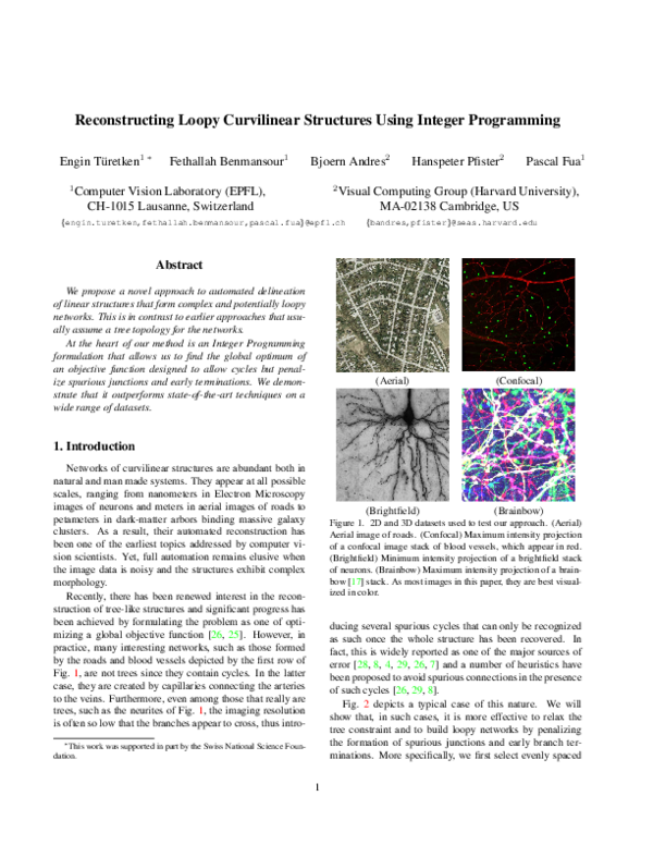 Pdf Reconstructing Loopy Curvilinear Structures Using Integer Programming P Fua 5899