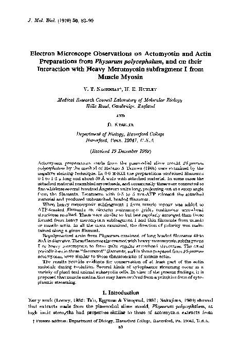 (PDF) Electron microscope observations on actomyosin and actin ...