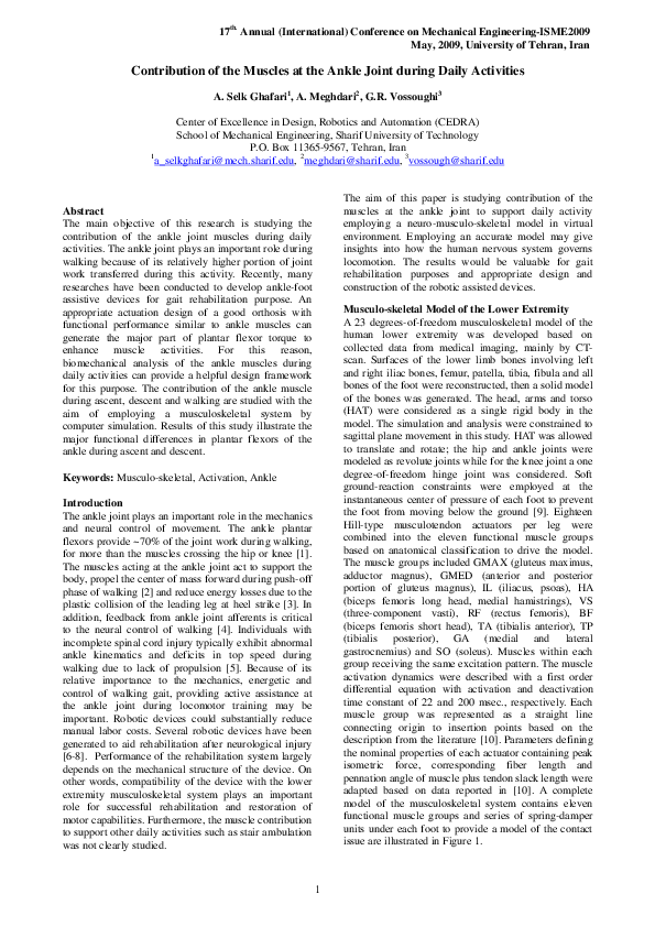 PDF Contribution Of The Muscles At The Ankle Joint During Daily pdf-contribution-of-the-muscles-at-the-ankle-joint-during-daily