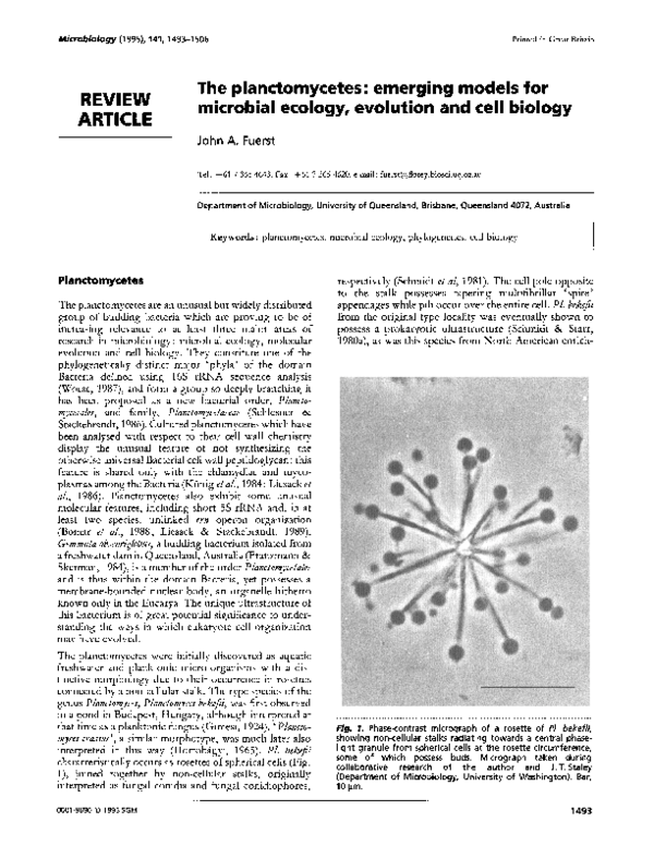 (PDF) The planctomycetes: emerging models for microbial ecology ...