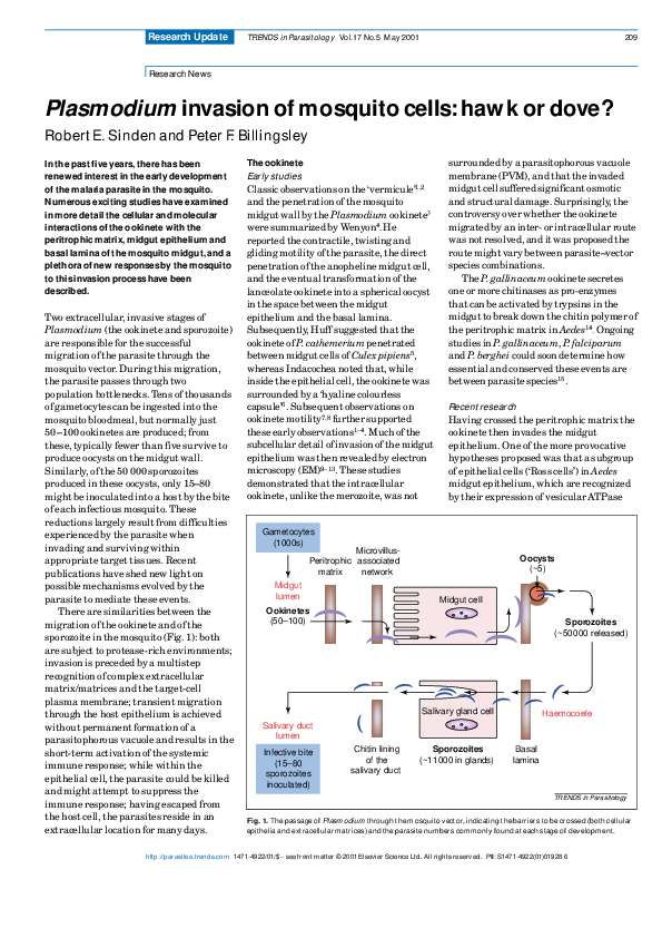 (PDF) Plasmodium invasion of mosquito cells: hawk or dove?