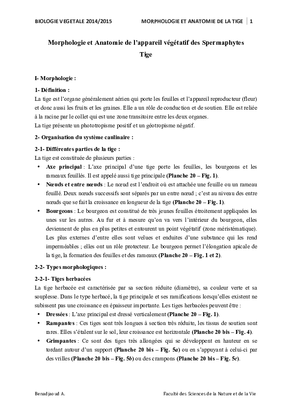 bac biologie anatomie 2015