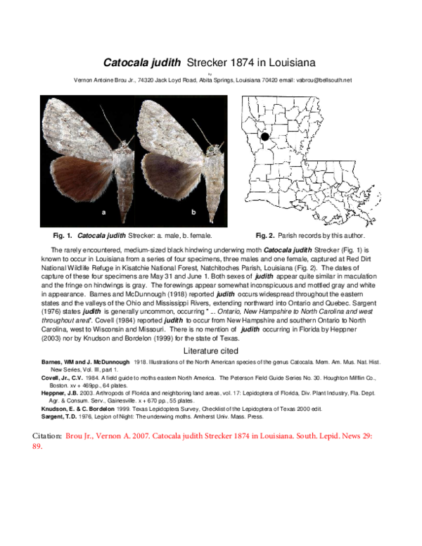 (PDF) Catocala judith Strecker 1874 in Louisiana
