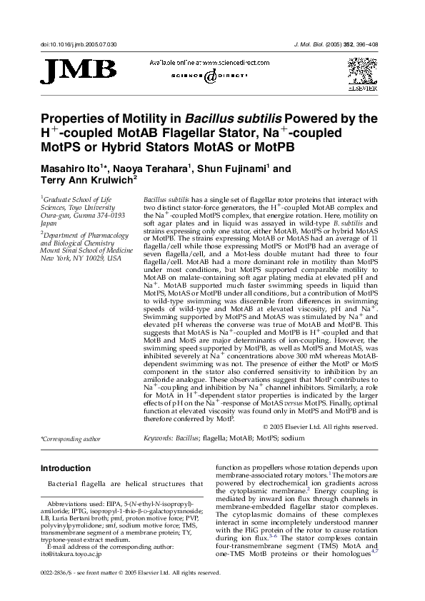 (PDF) Properties of Motility in Bacillus subtilis Powered by the H+ ...