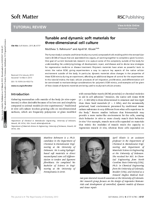 (PDF) Tunable and dynamic soft materials for three-dimensional cell ...