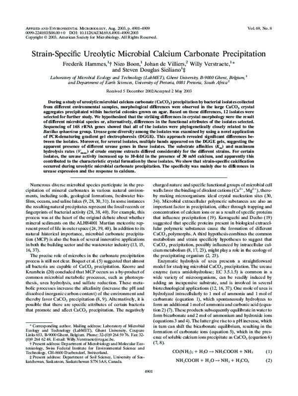 (PDF) Strain-Specific Ureolytic Microbial Calcium Carbonate Precipitation