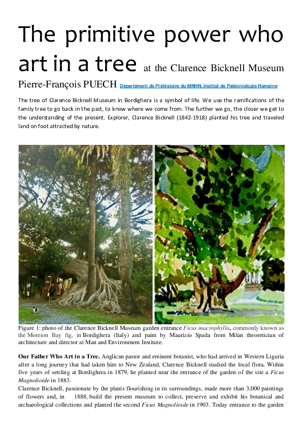 (PDF) Primitive power who art in a tree at the Clarence Bicknell Museum ...