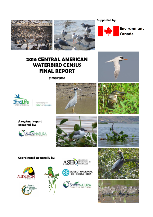 (PDF) 2016 Central American Waterbird Census final reportREPORT