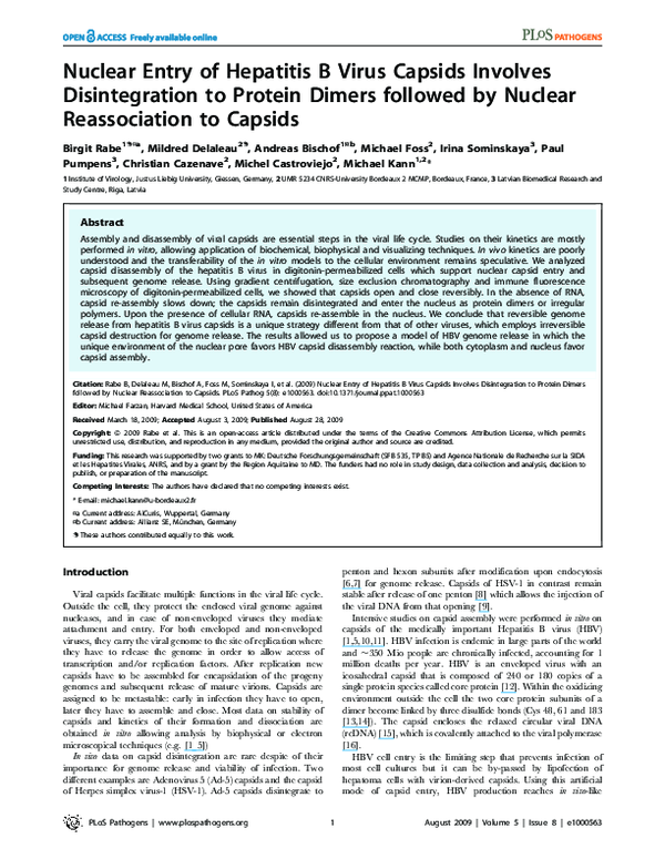 (PDF) Nuclear Entry of Hepatitis B Virus Capsids Involves ...