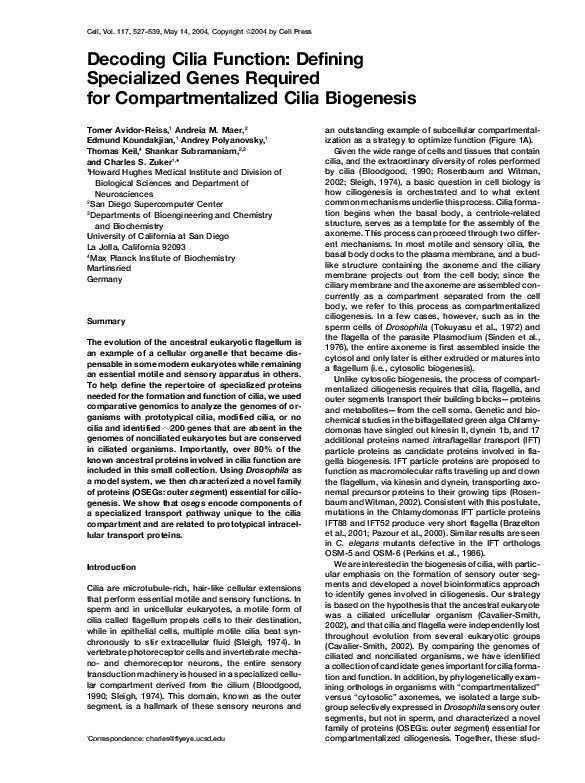 (PDF) Decoding Cilia Function