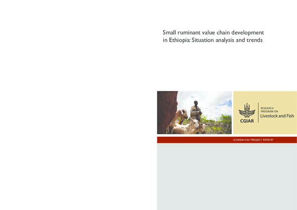 (PDF) Sheep and Goat Value Chain Analysis in Tahtay Adyabo District ...