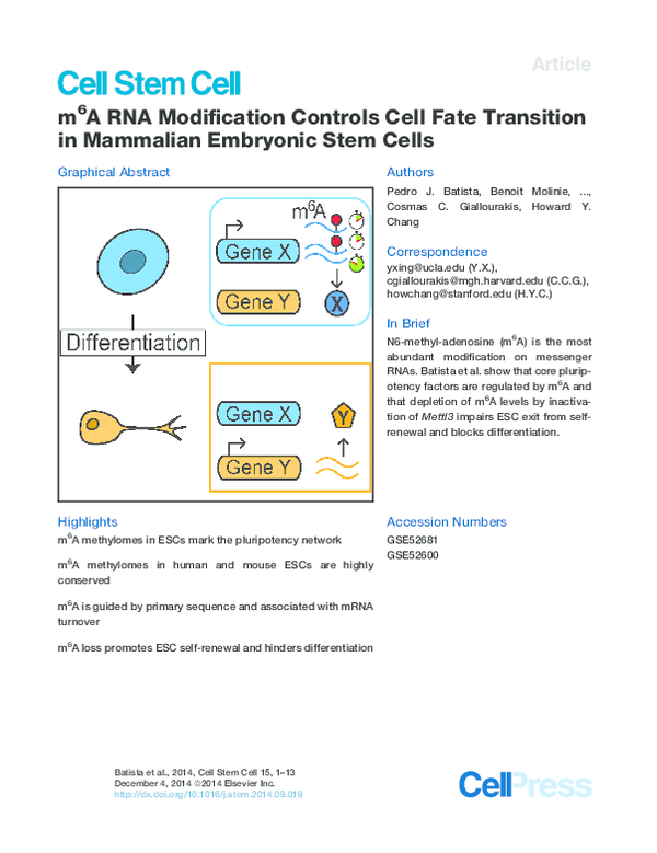 (PDF) m(6)A RNA modification controls cell fate transition in mammalian ...