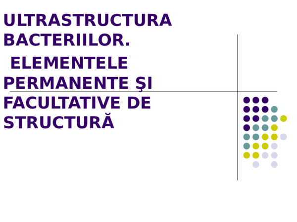 Ultrastructura bacteriilor 634