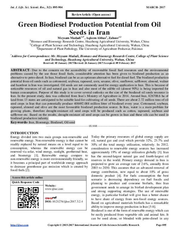 (PDF) Green Biodiesel Production Potential from Oil Seeds in Iran