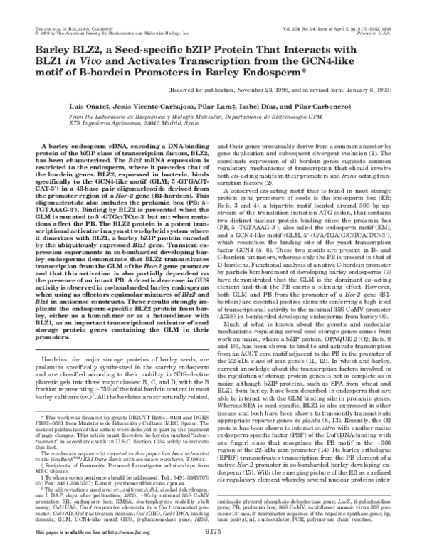 (PDF) Barley BLZ2, a Seed-specific bZIP Protein That Interacts with ...