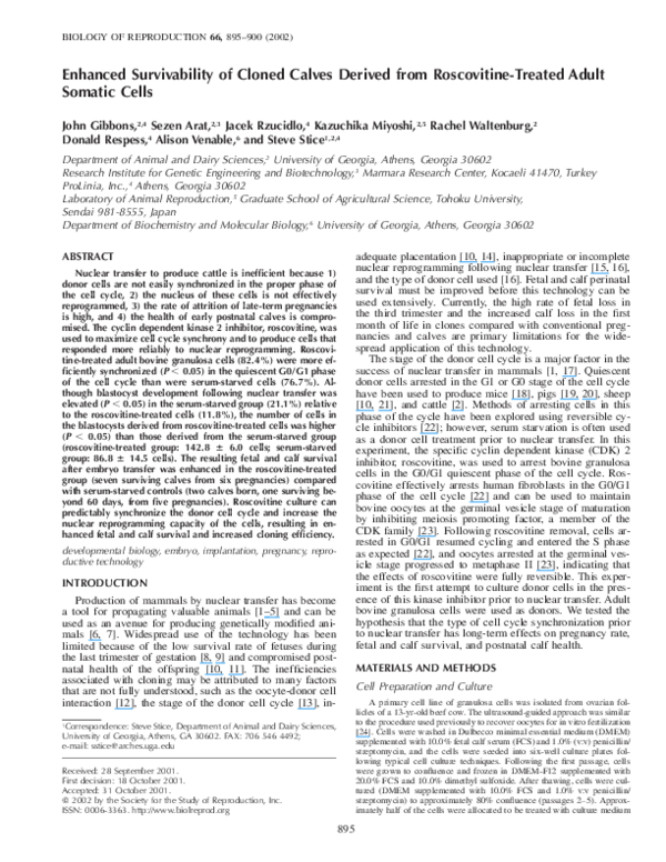(PDF) Enhanced Survivability of Cloned Calves Derived from Roscovitine ...