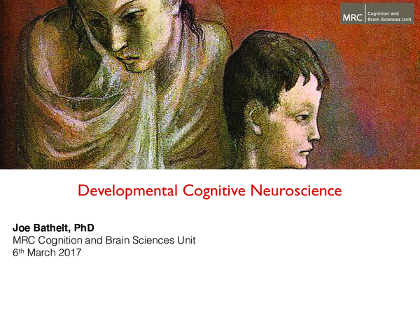 (PDF) Developmental Cognitive Neuroscience