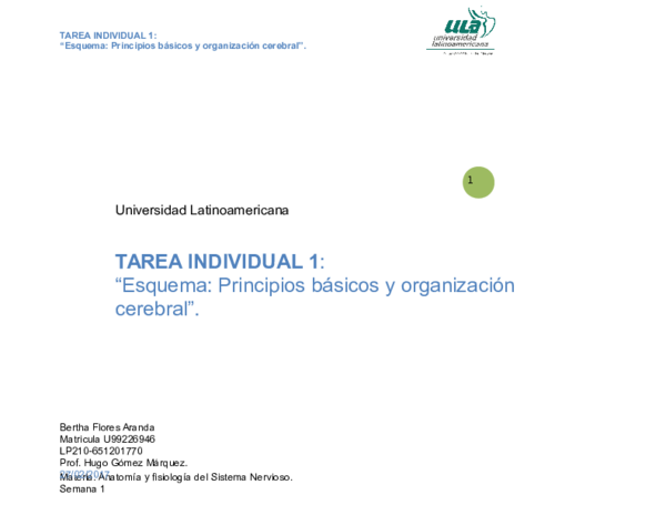 (DOC) TAREA INDIVIDUAL 1: " Esquema: Principios básicos y organización cerebral