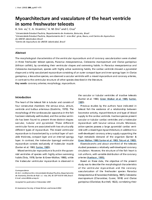 (PDF) Myoarchitecture and vasculature of the heart ventricle in some ...