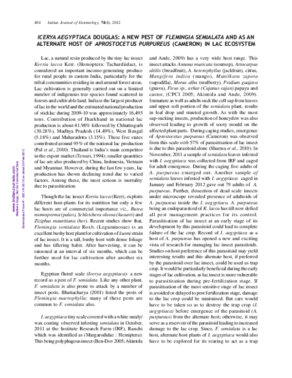 (PDF) ICERYA AEGYPTIACA DOUGLAS: A NEW PEST OF FLEMINGIA SEMIALATA AND ...