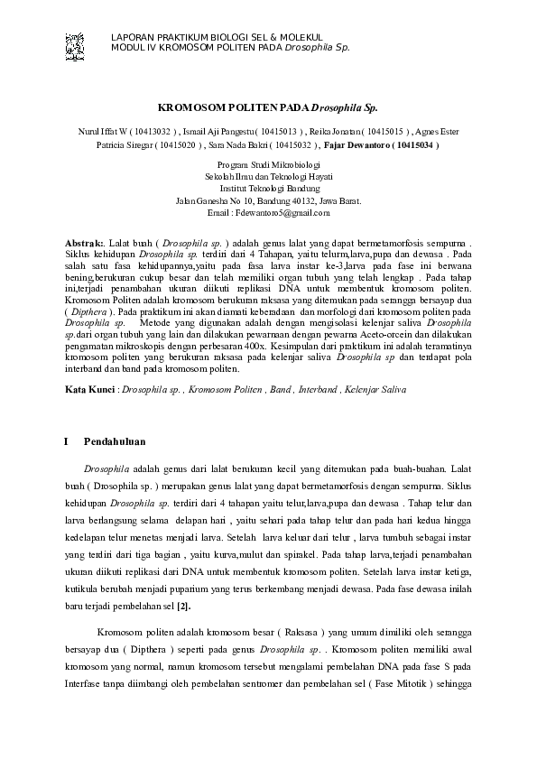 (DOC) KROMOSOM POLITEN PADA Drosophila Sp
