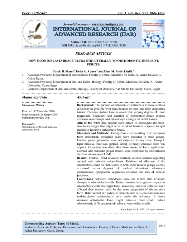 (PDF) HOW ODONTOBLASTS REACT ULTRA-STRUCTURALLY TO ORTHODONTIC ...