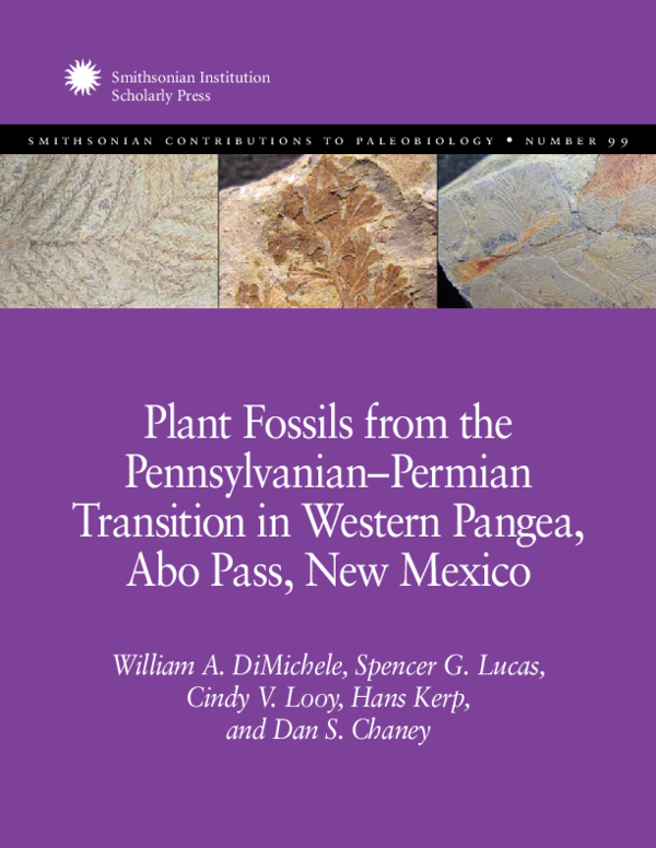(PDF) Plant Fossils from the Pennsylvanian–Permian Transition in ...