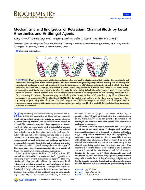 (PDF) Mechanisms and energetics of potassium channel block by local ...