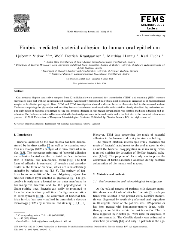 (PDF) Fimbria-mediated bacterial adhesion to human oral epithelium