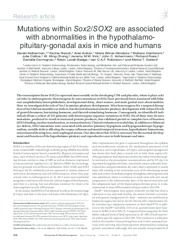 (PDF) Mutations within Sox2/SOX2 are associated with abnormalities in ...