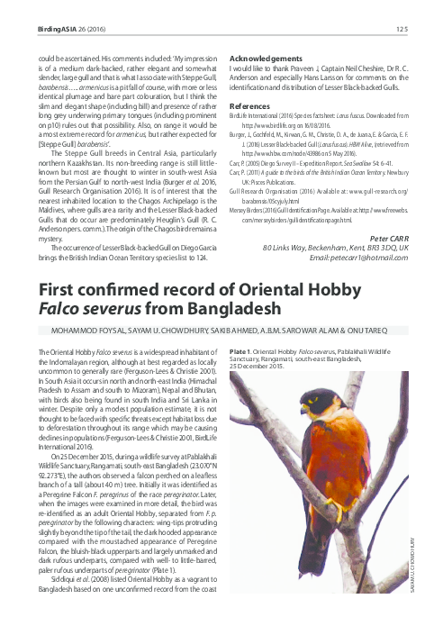 (PDF) First confirmed record of Oriental Hobby Falco severus from ...