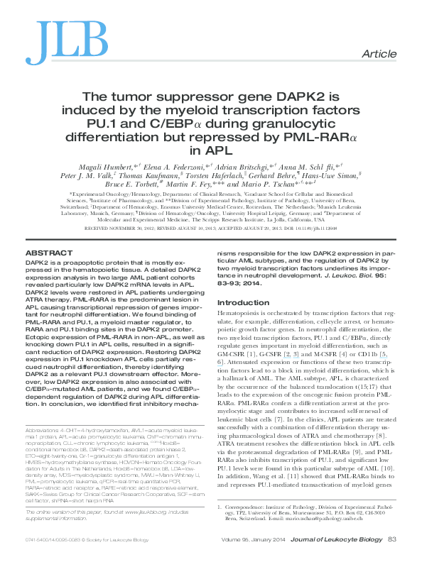(PDF) The tumor suppressor gene DAPK2 is induced by the myeloid ...