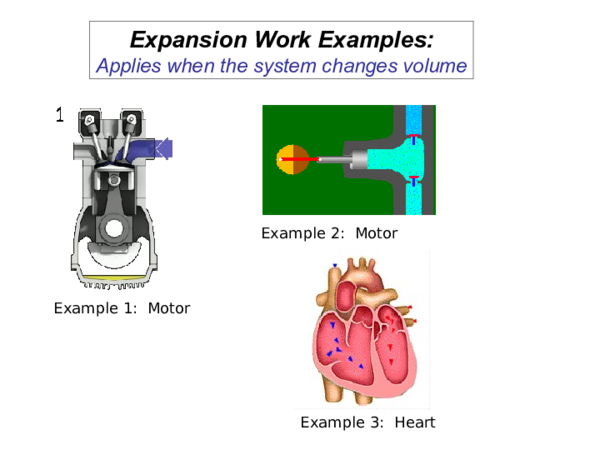 (PPT) P6 Expansion Work for Different Processes (1)