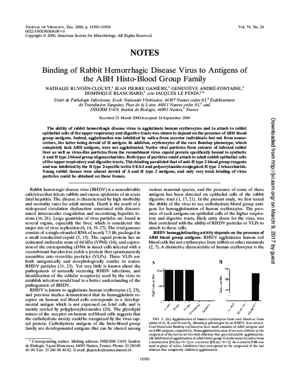 (PDF) Binding of Rabbit Hemorrhagic Disease Virus to Antigens of the ABH Histo-Blood Group Family