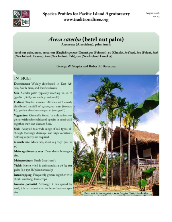 (PDF) Areca catechu (betel nut palm) IN BRIEF