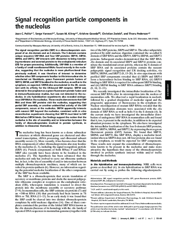 Pdf Signal Recognition Particle Components In The Nucleolus